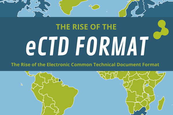 Our Blog | Leveraging our Expertise